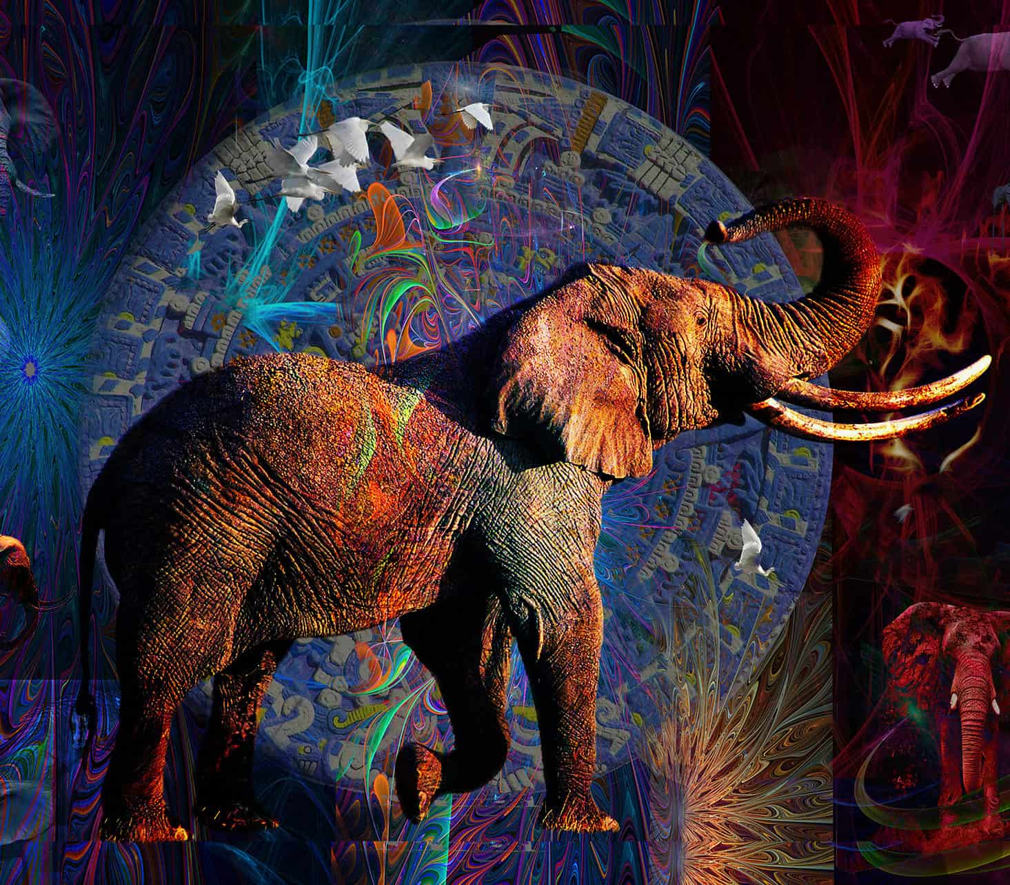 Art of the Heart: Carlos Alberto Quintero • Nonahood News