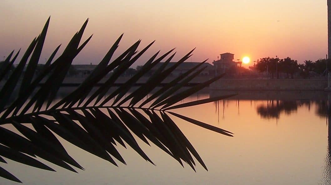 Nona Heroes: Major Scott Meehan • Nonahood News