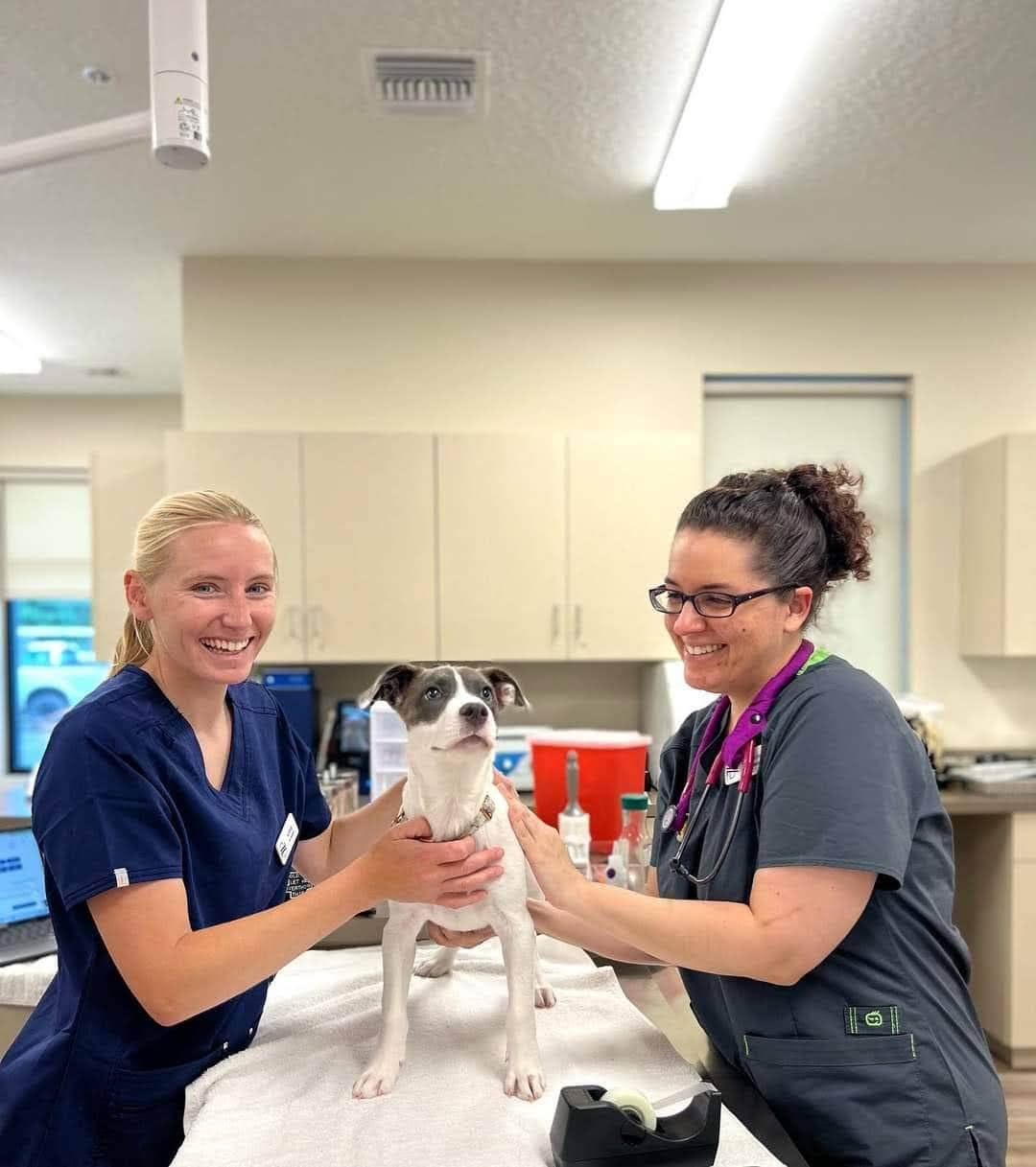 Nona Your Neighbor: Dr. Erica Irish • Nonahood News